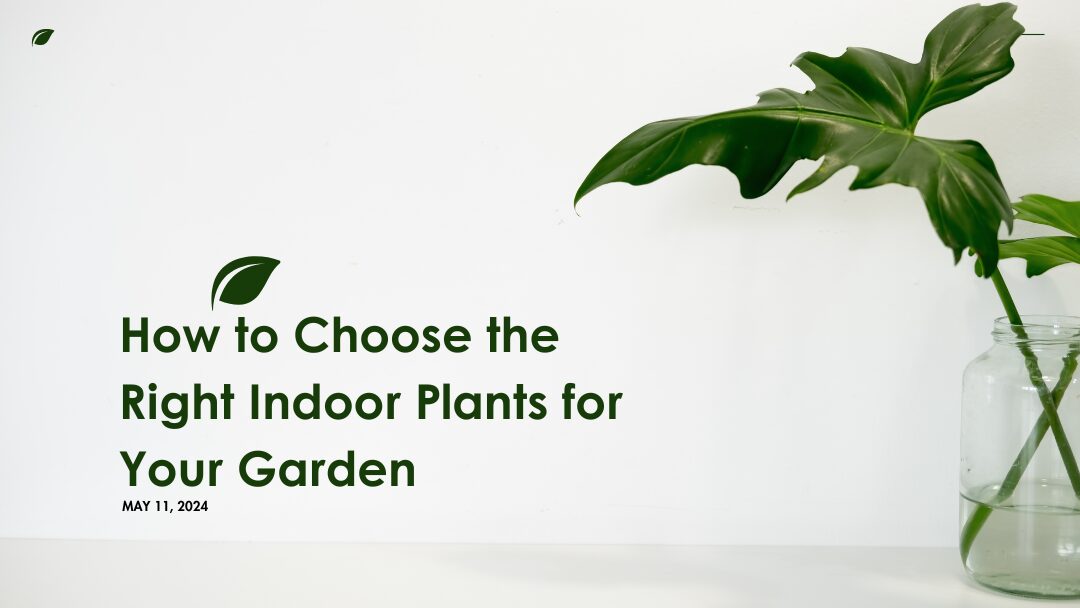 How to Choose the Right Indoor Plants for Your Garden